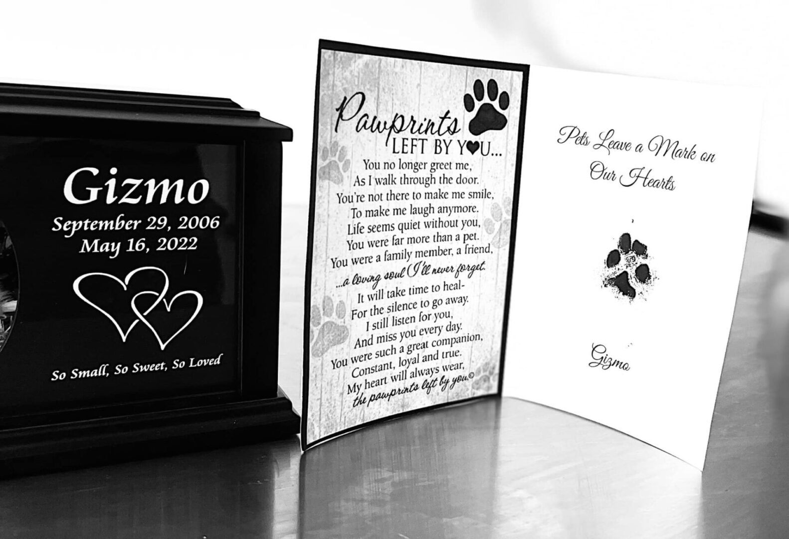 Memorial | Cat Cremation | Heavenly Gates Pet Cremation